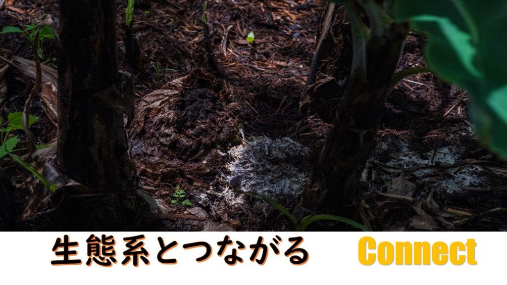 ACTとは | 合同会社アクト
